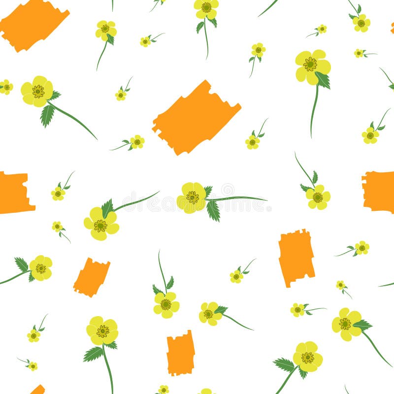 Buttercup Flowers Vector Repeat Pattern on White Background Stock ...