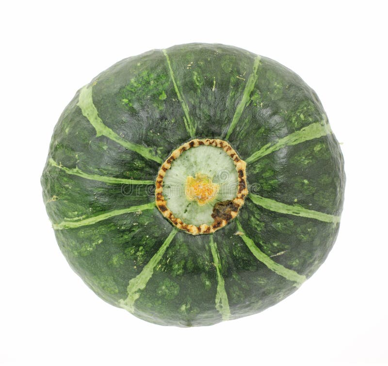 Buttercup Squash Top View Underside Stock Image - Image of rind, yellow ...