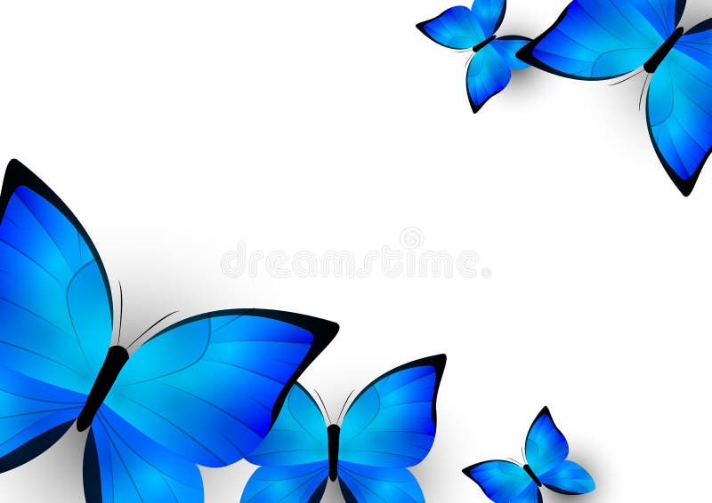 Blue Butterfly Border Designs