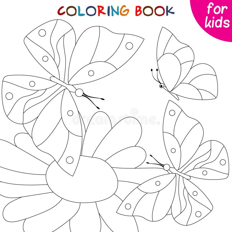 Butterflies Collection. Butterflies and Chamomile Stock Vector ...