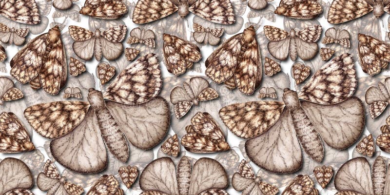 Butterflies Different Pattern Dense Watercolor Stock Photo - Image of ...