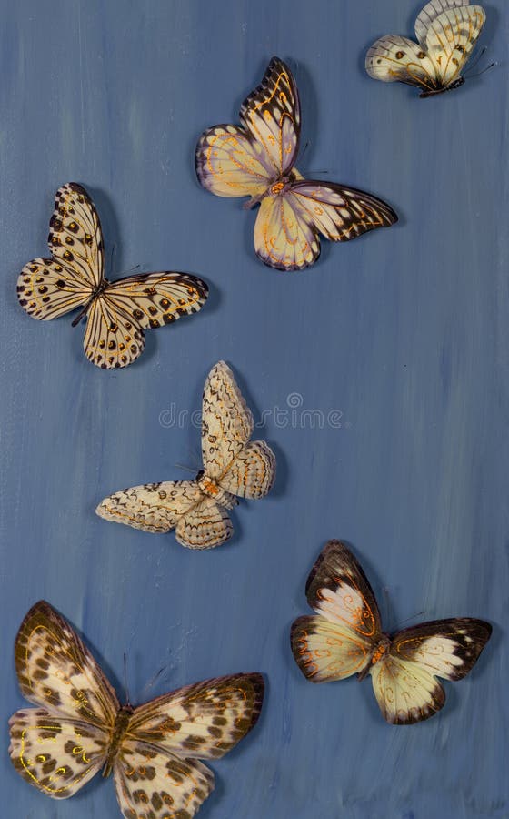 Butterflies Flying Blue Background Stock Photo - Image of flora, idea ...