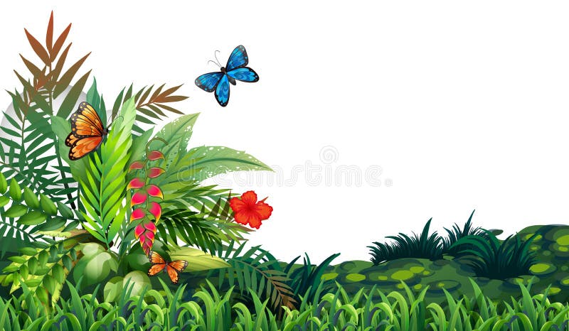 Butterflies and garden stock vector. Illustration of graphic - 50446134