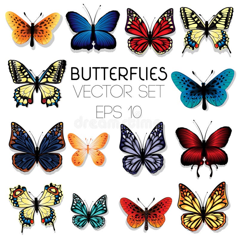 Butterflies Illustration Set Stock Vector - Illustration of easy, macro ...