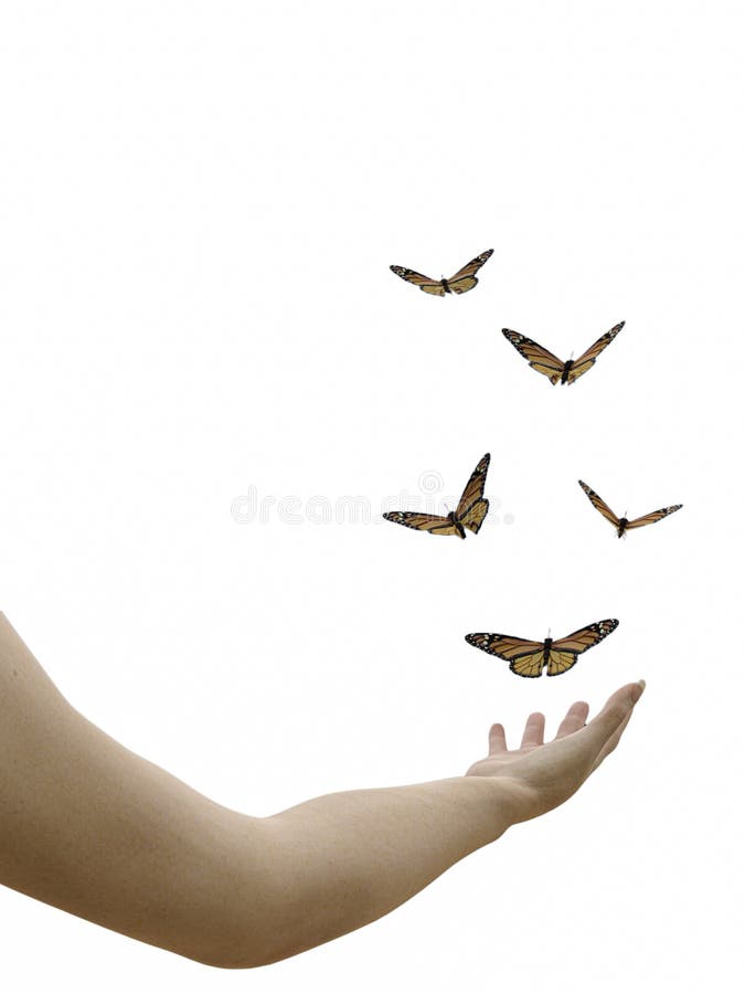 Butterflies Flying Over a Hand Isolated on Green Stock Illustration ...