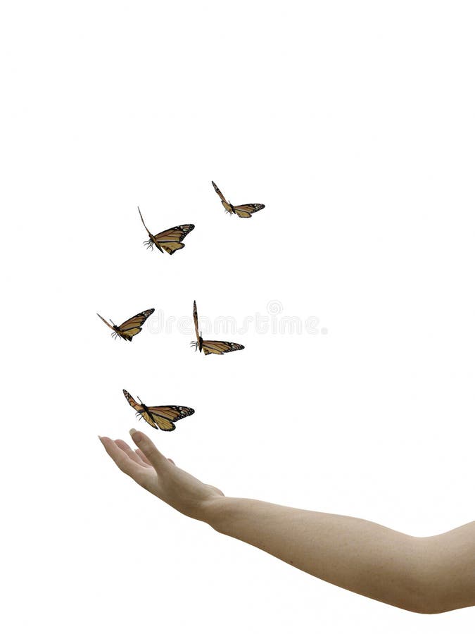 Butterflies Flying Over a Hand Isolated on Green Stock Illustration ...