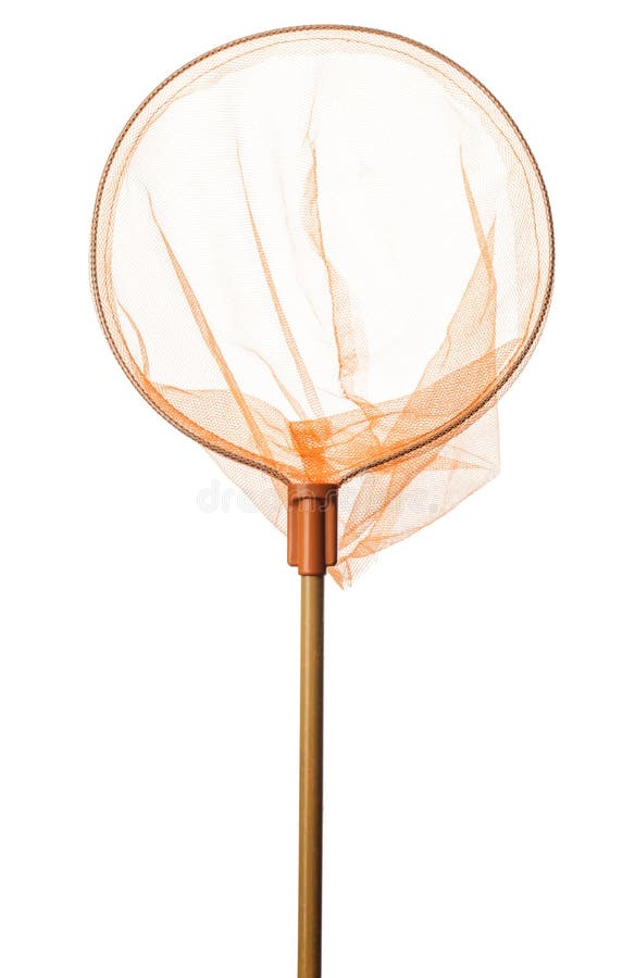 Pink butterfly net stock photo. Image of beauty, wind - 2683550