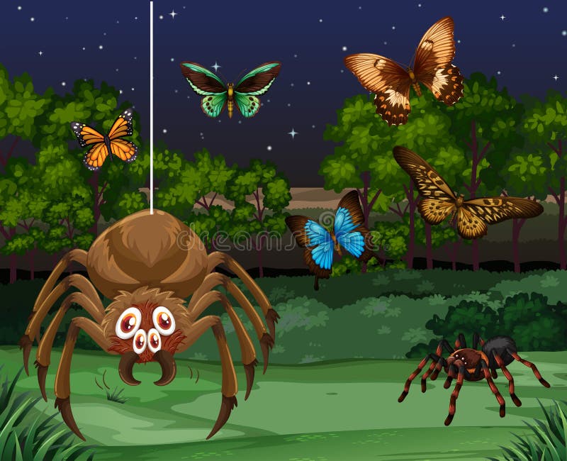 Butterflies and Spider, Frame Stock Vector - Illustration of drop ...