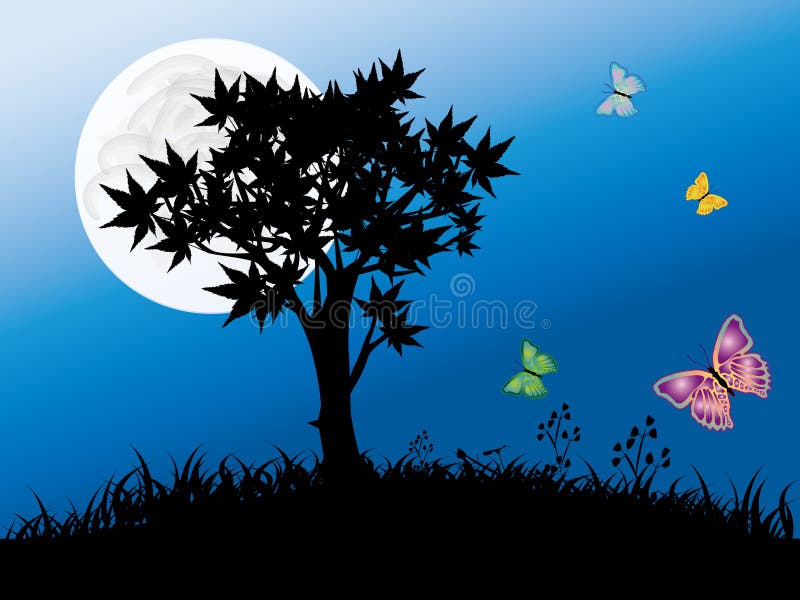 Butterflies Giant Beautiful Full Moon Stock Illustrations – 2 ...