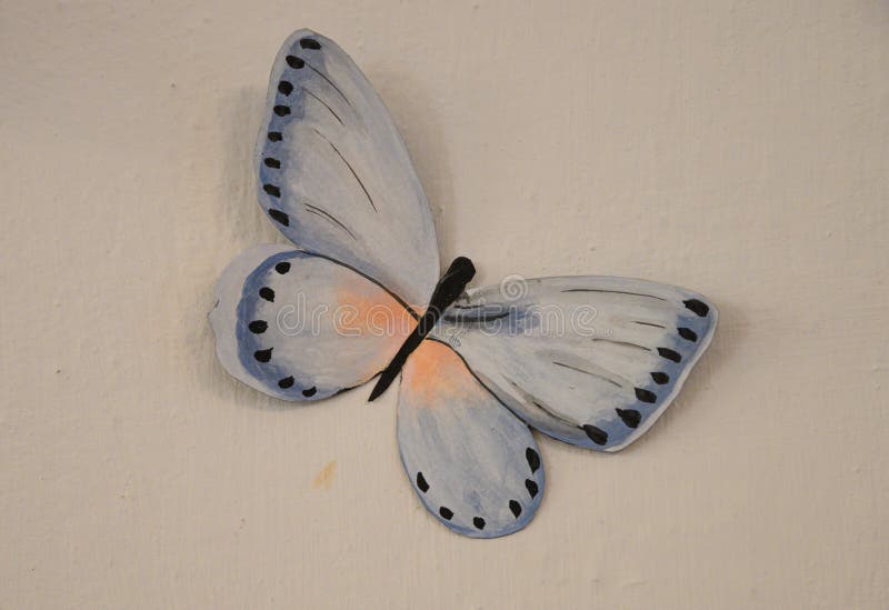 Butterflies of Various Shapes and Sizes Exhibited in an Exhibition ...