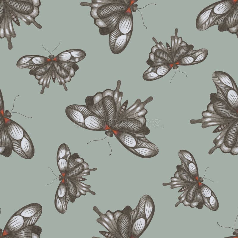 Butterflies of Various Sizes on Gray Background. Seamless Pattern with ...