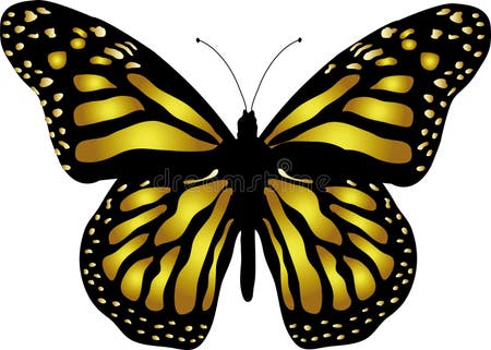 Fantastic Beautiful Butterfly Stock Illustrations – 3,389 Fantastic ...