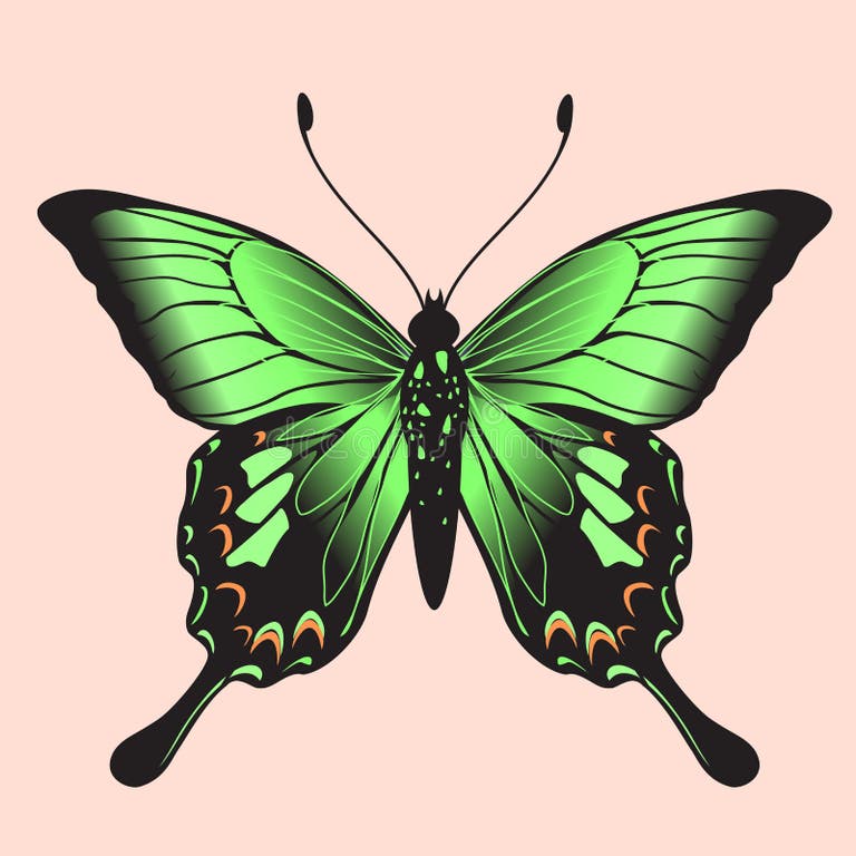 Cool Butterfly Pattern Stock Illustrations – 2,475 Cool Butterfly ...