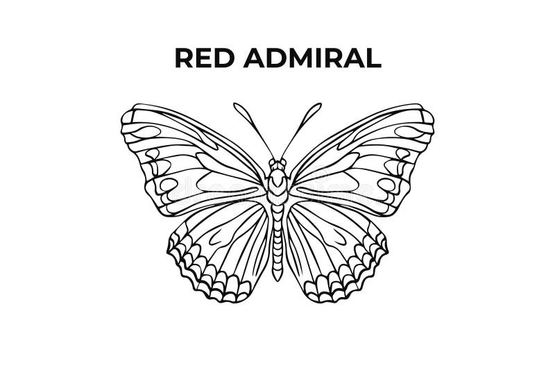 Red Admiral Butterfly Detailed Outline for Artistic Coloring. Stock ...