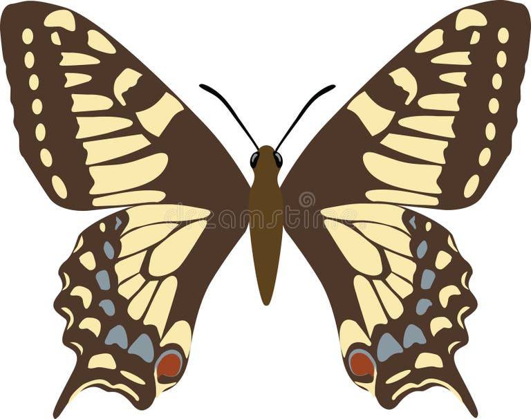 Small Yellow Butterfly Flutter Stock Illustrations – 222 Small Yellow ...