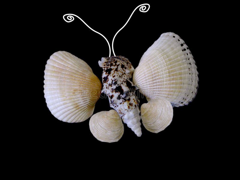 Butterfly stock illustration. Illustration of detail, combination - 5599767