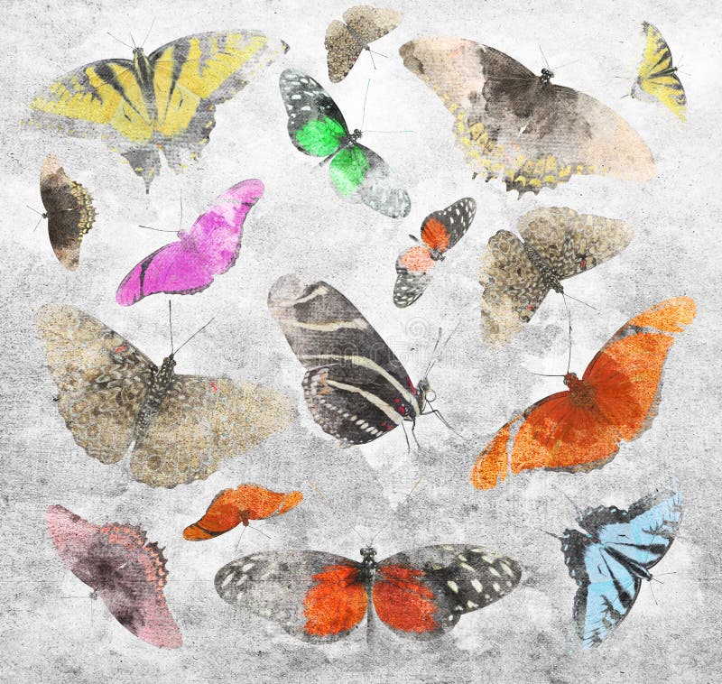 Butterfly Old Grunge Paper Texture Stock Image - Image of full, frame ...