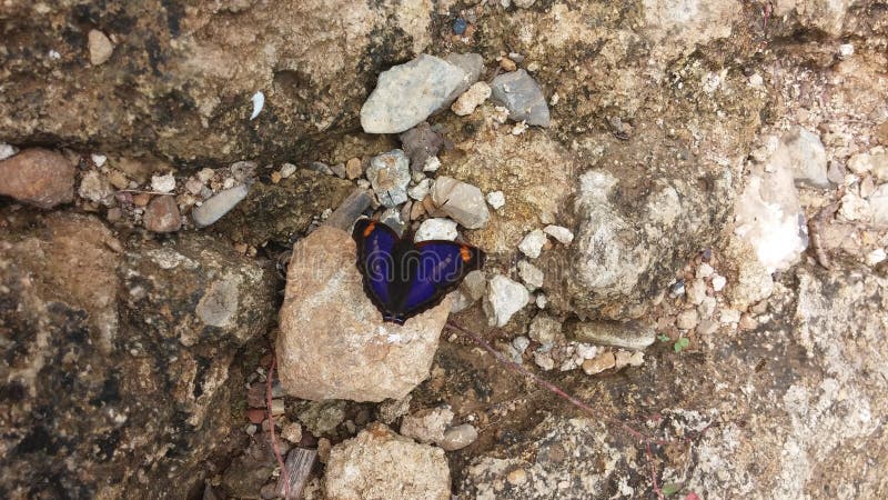 Rstico Stock Photos - Free & Royalty-Free Stock Photos from Dreamstime