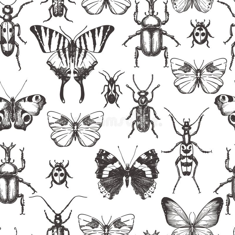 Insects Bugs Seamless Pattern Background Stock Illustrations – 1,238 ...