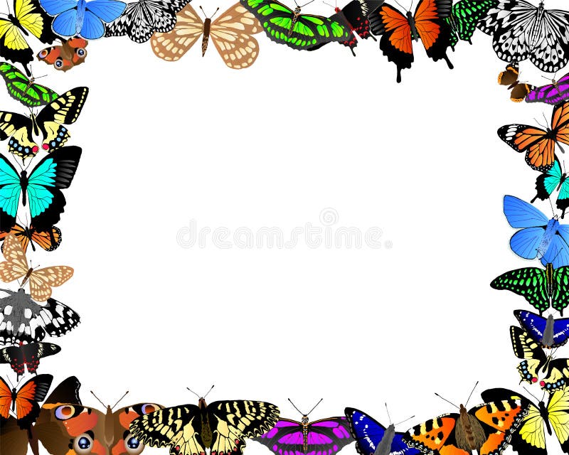 Butterfly Border stock vector. Illustration of monarch - 91685535