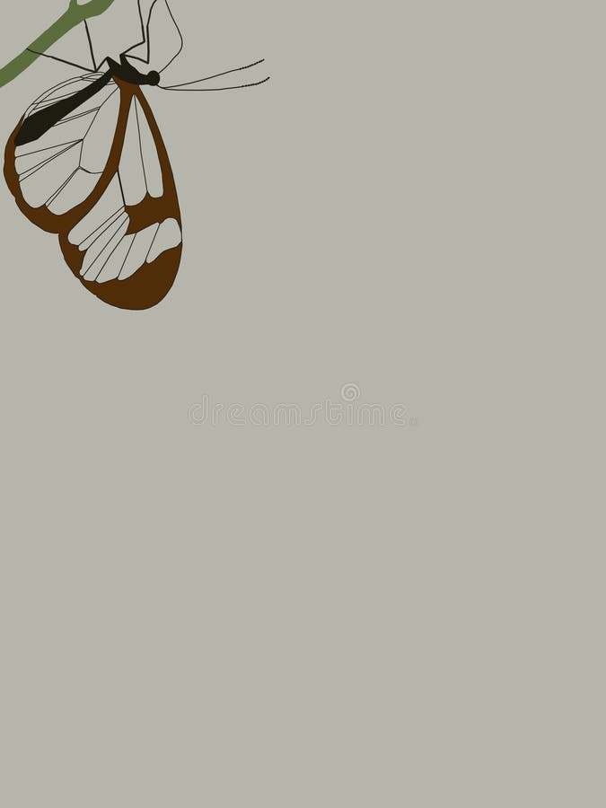 Butterfly on a Branch on an Empty Background, Minimalism Picture Stock ...