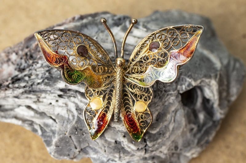 Butterfly Brooch on a Sea Sediment Rock Stock Image - Image of nature ...