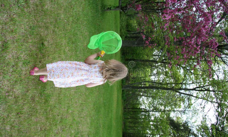 Butterfly catching stock image. Image of grass, calico - 827989