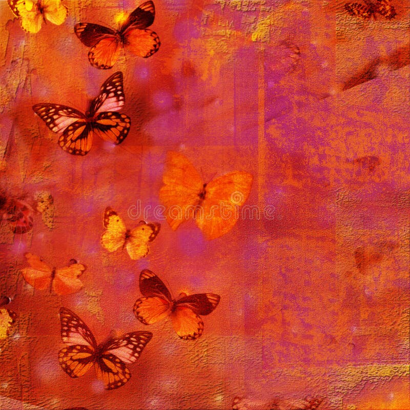 Butterfly collage stock illustration. Illustration of color - 3869888