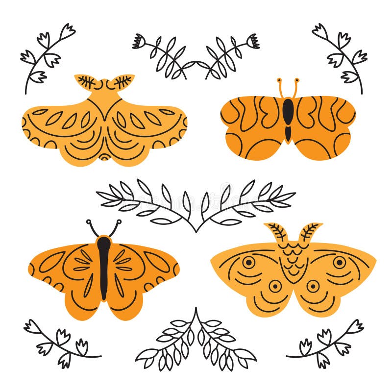 Butterfly Collection. Hand Drawn Vector Illustration. Stock Vector ...