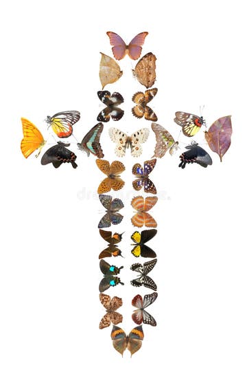 Butterfly cross stock image. Image of catholic, crucifixion - 13701047