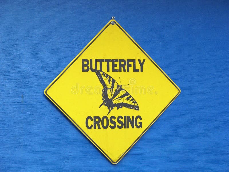 Butterfly crossing sign stock photo. Image of information - 4602124