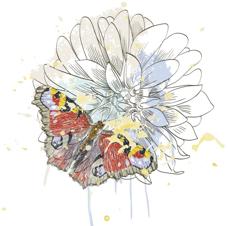 Butterfly and daisy stock vector. Illustration of messy - 50032477