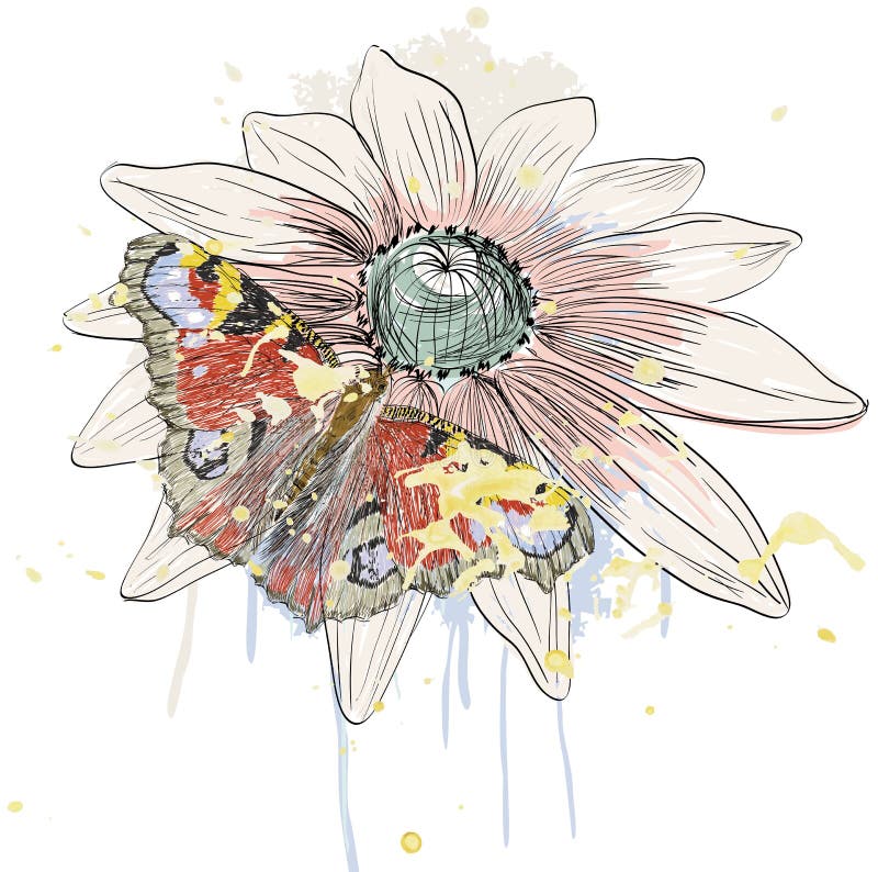 Butterfly and daisy stock vector. Illustration of messy - 49451733