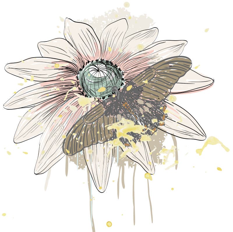 Butterfly and daisy stock vector. Illustration of grunge - 49687490