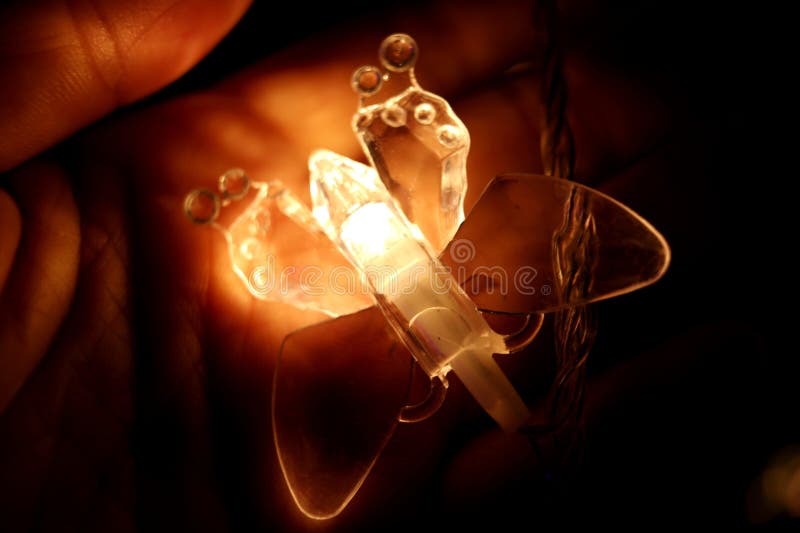 Butterfly Decorative Lights on Hand. Stock Photo - Image of light ...