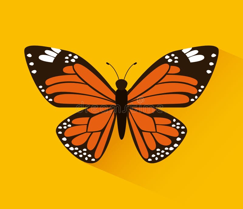Butterfly design stock vector. Illustration of pattern - 45111722
