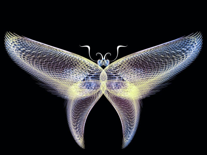 Butterfly Design stock illustration. Illustration of arrangement - 35660033