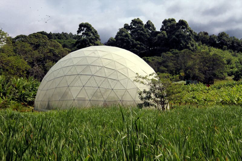 Butterfly Dome stock photo. Image of architecture, insects - 30526608