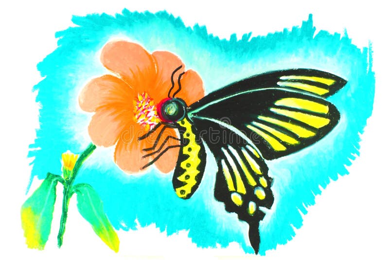Butterfly drawing stock illustration. Illustration of group - 35272283