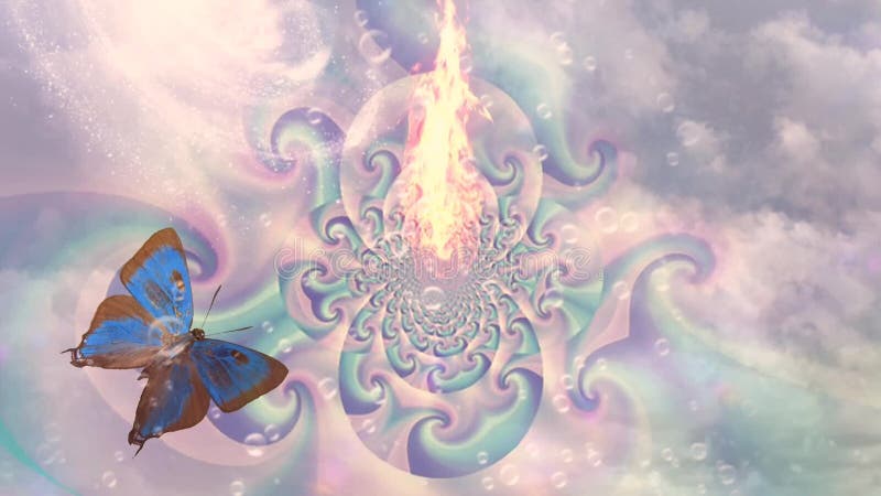 Butterfly Effect Overlay Transition Stock Video - Video of fractal ...
