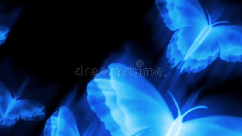 Butterfly Effect Overlay Transition Stock Video - Video of fractal ...