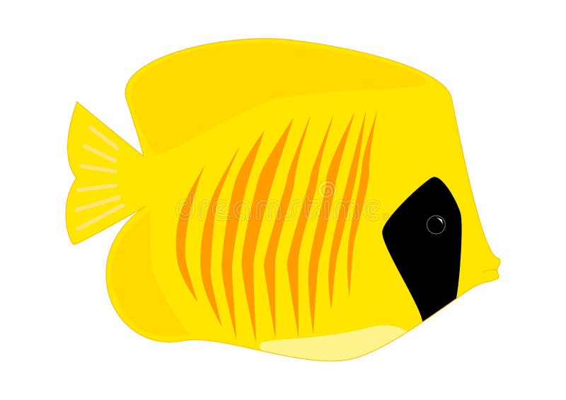 Butterfly Fish. Colorful Illustration of Tropical Fish Isolated on ...