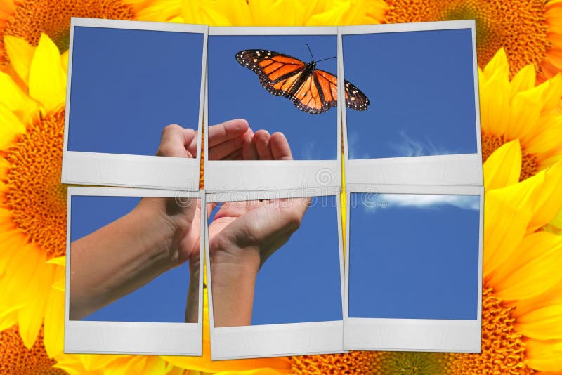Butterfly Flying Off into the Sky Stock Photo - Image of arms, delicate ...