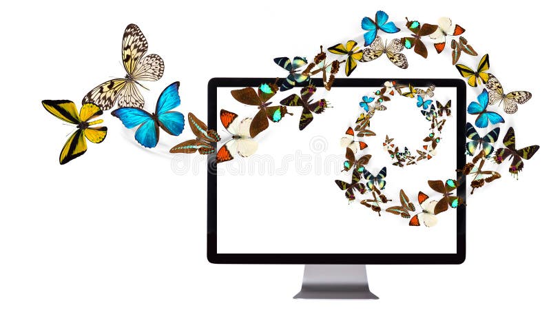 Butterfly Flying Out from Computer Stock Image - Image of monarch ...