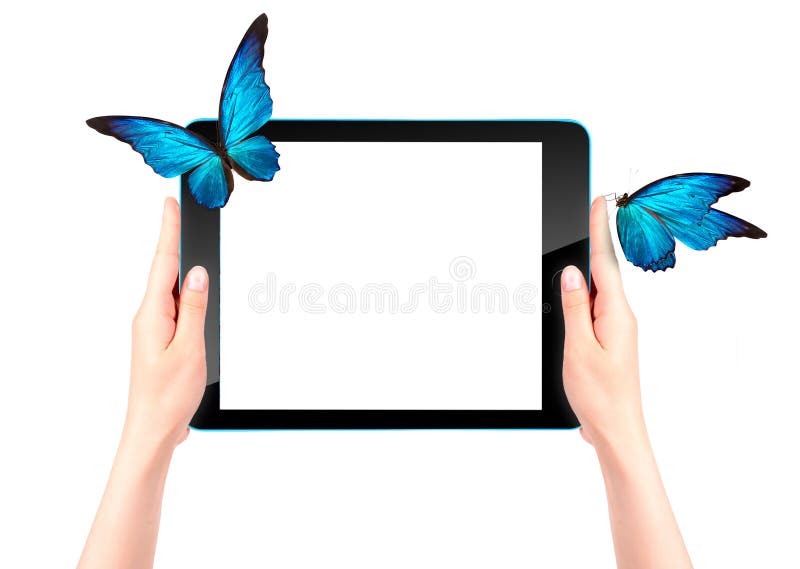Butterfly Flying Out from Tablet Computer Stock Photo - Image of design ...