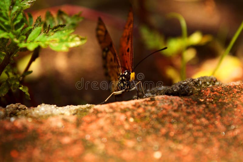 Soaking Wallpaper Stock Photos - Free & Royalty-Free Stock Photos from ...