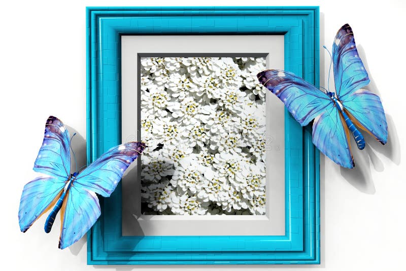 Butterfly and frame stock illustration. Illustration of life - 21859273