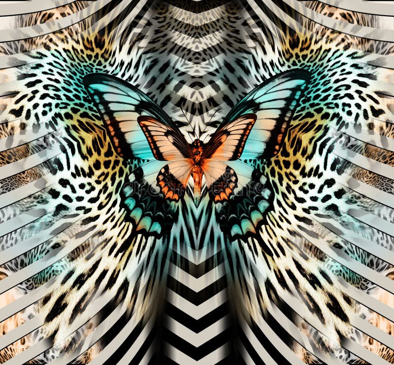 Butterfly Geometric Pattern;leopard Skin Stock Illustration ...