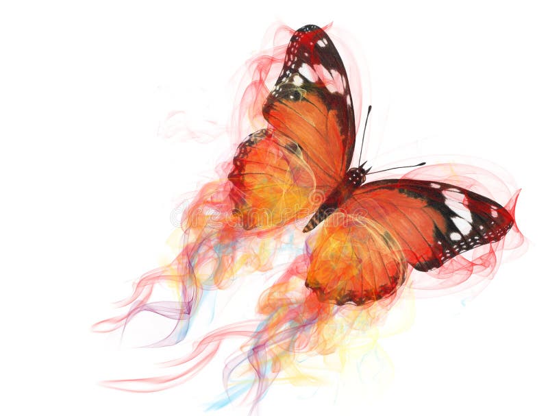 Butterfly graphic stock illustration. Illustration of color - 32930055