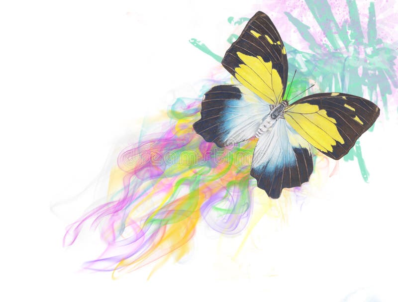 Butterfly graphic stock illustration. Illustration of spring - 32930076